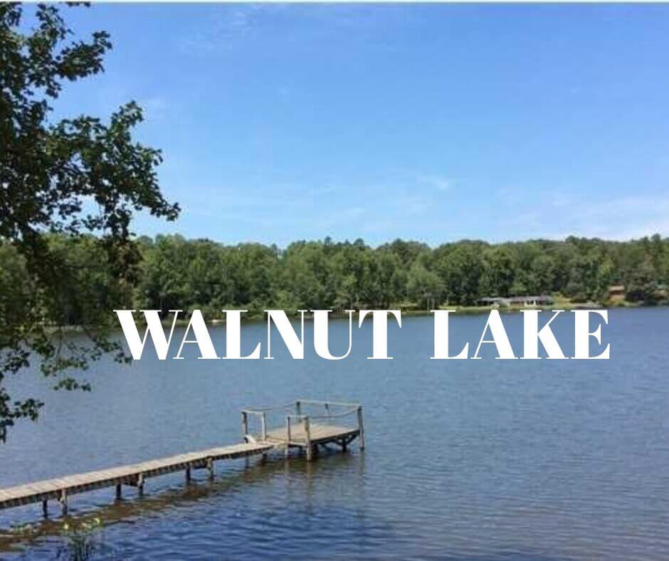 Update on bodies recovered from Walnut Lake | Tippah News