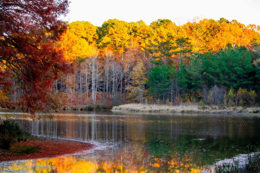 Tippah County's Tippah Lake Offers Holiday Fun and Scenic Views ...