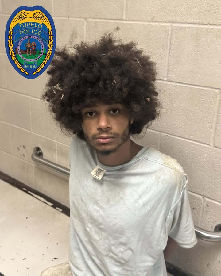 Tupelo man charged with credit card fraud after vehicle theft | Tippah News